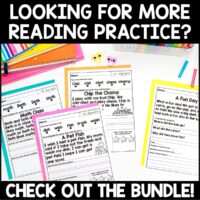 Decodable Reading Fluency Passages FREEBIE - Miss Kindergarten