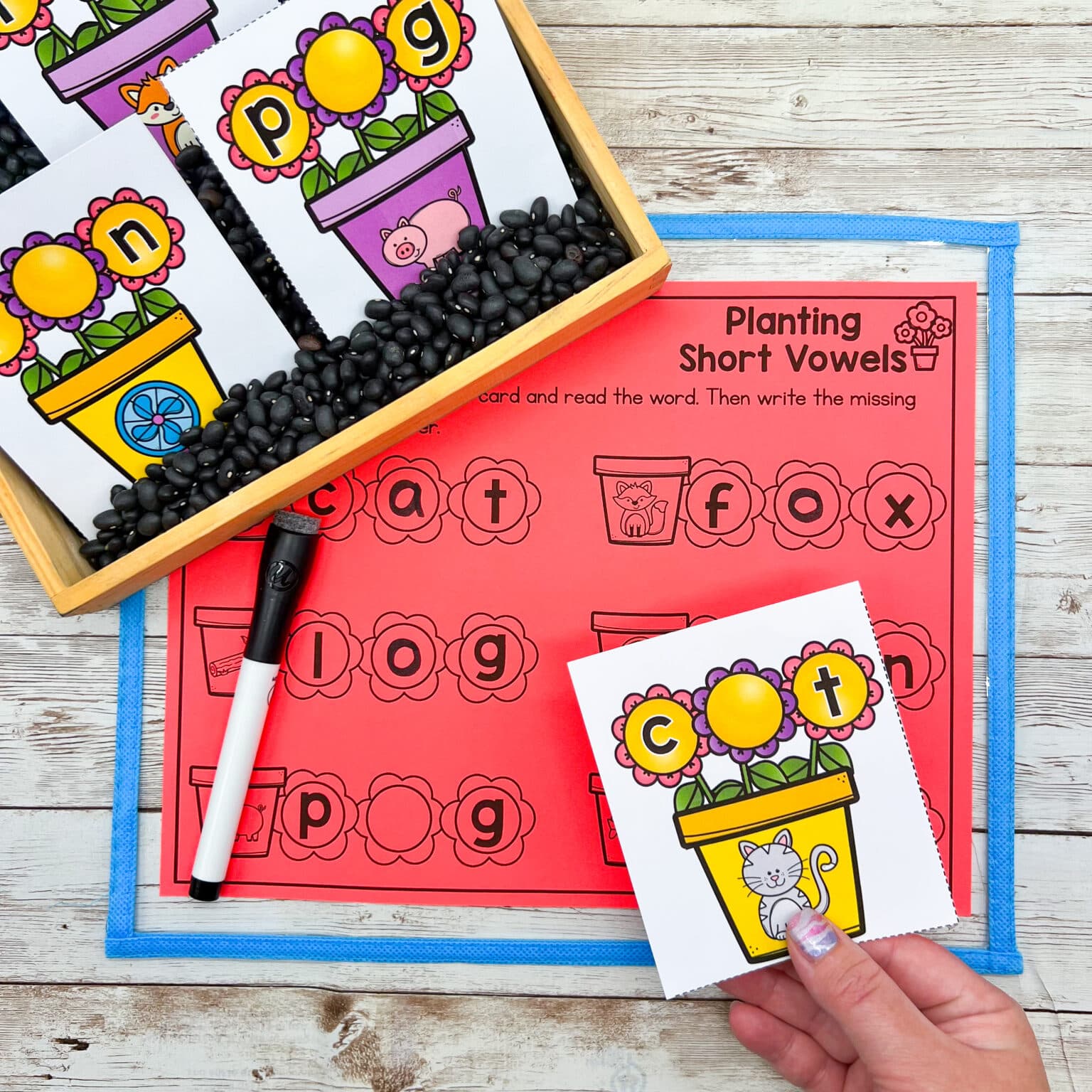 5 Ways to Use Sensory Bins for Kindergarten - Miss Kindergarten