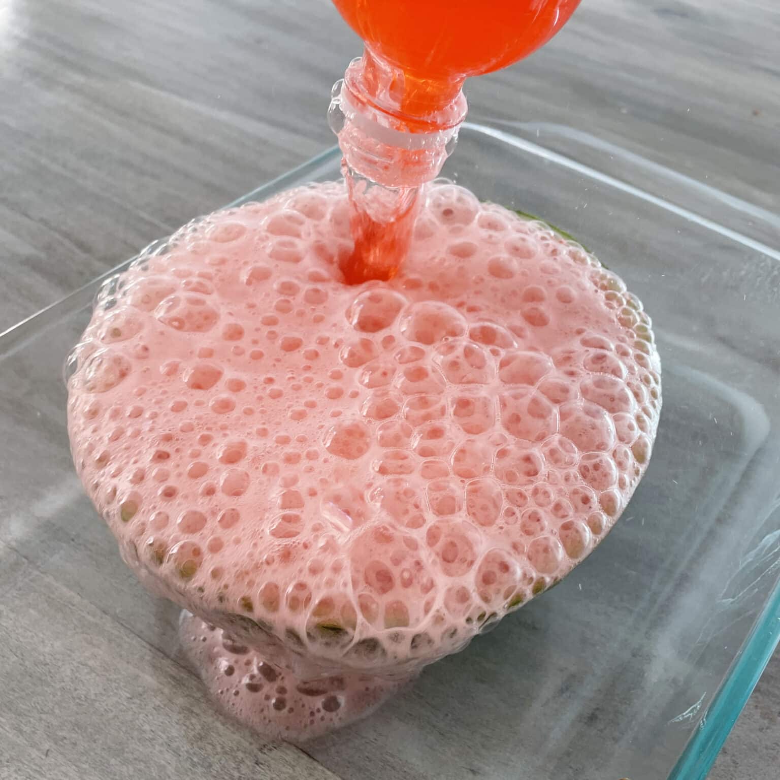 Spring STEM Activities for Kindergarten - Miss Kindergarten