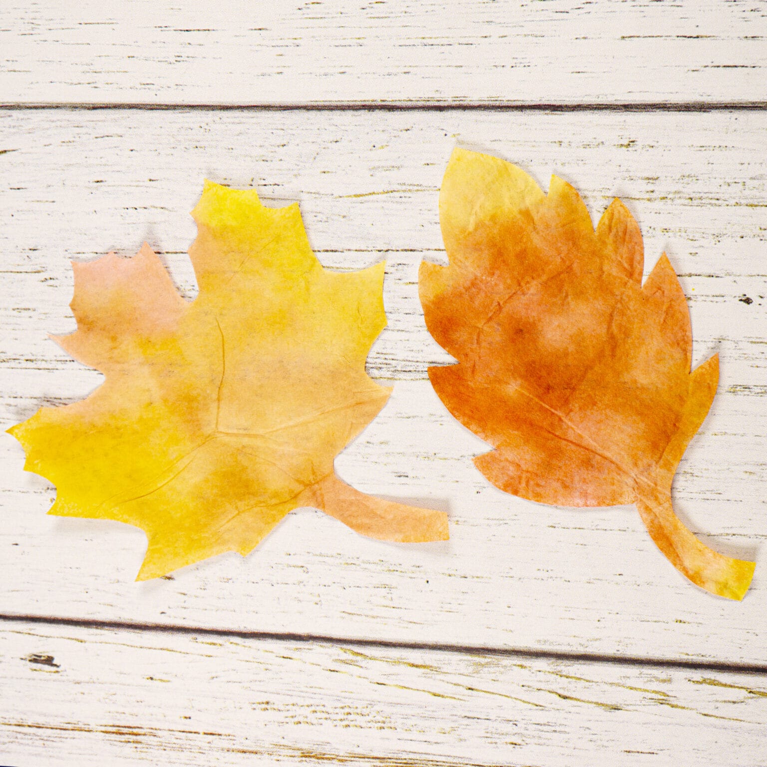 Fall STEM Activities for Kindergarten - Miss Kindergarten