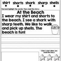 Reading Fluency Passages Mixed Vowel Blends and Digraphs - Miss ...